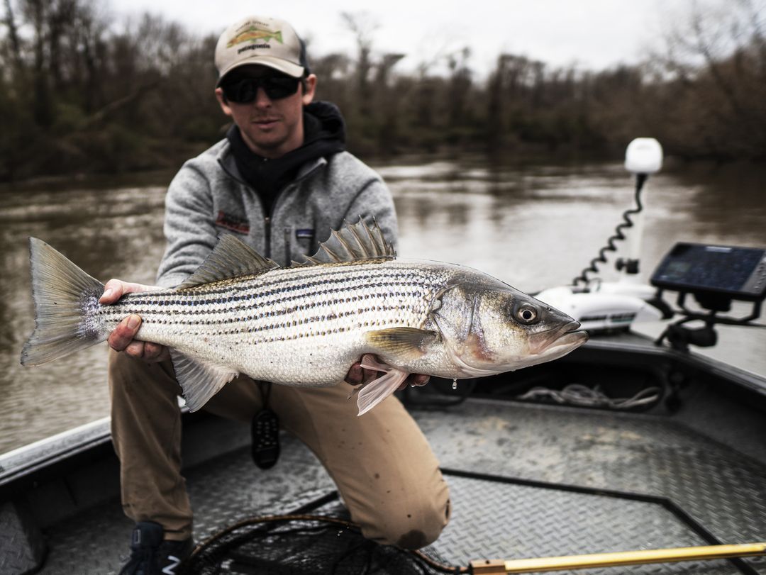 About | Anglers Edge Marketing